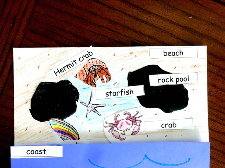 Interactive Tides Activity | Printable | Free | K - 2