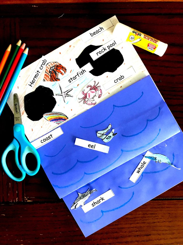 Interactive Tides Activity | Printable | Free | K - 2