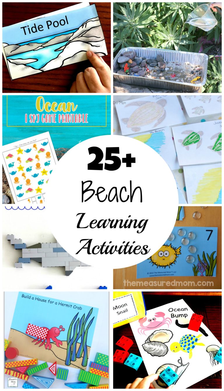 25+ Beach Learning Activities to Build Background Knowledge Before Your ...