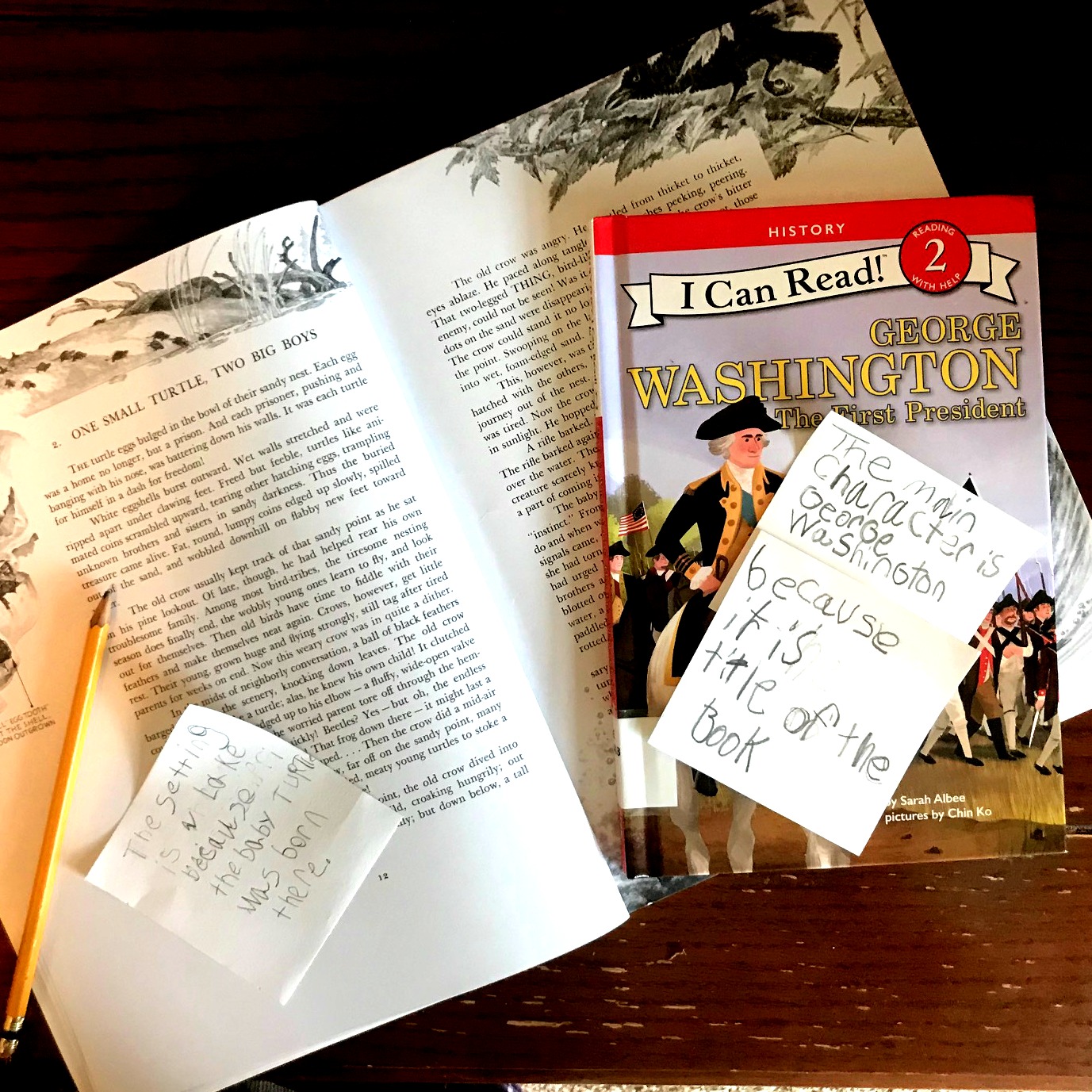 Using Mentor Texts for Reading (Example Using Odd Boy Out)