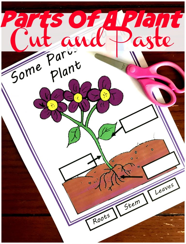 Five FREE Irresistible Parts Of a Plant Worksheets
