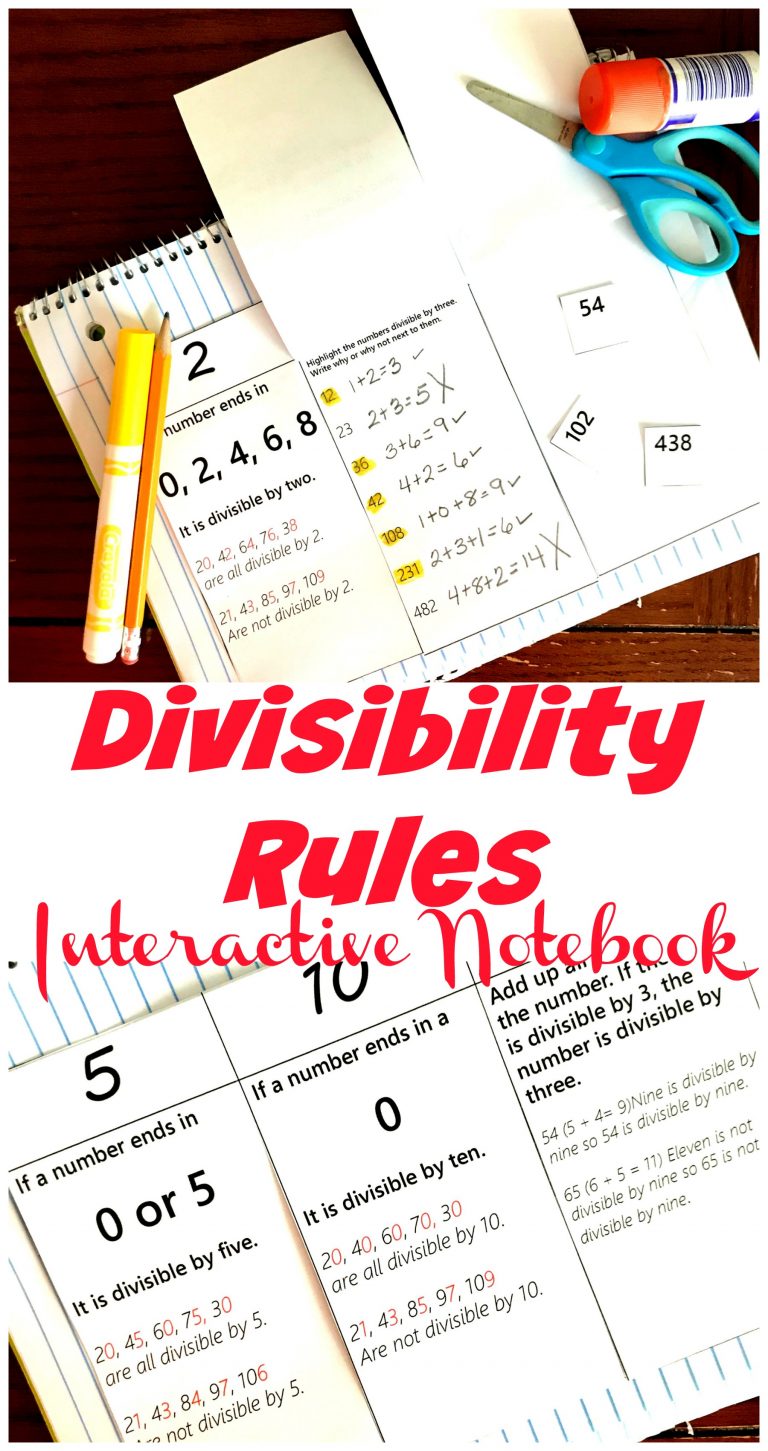 FREE Hands-On Divisibiltiy Rules Worksheet For 2, 3, 6, 5, 9, and 10