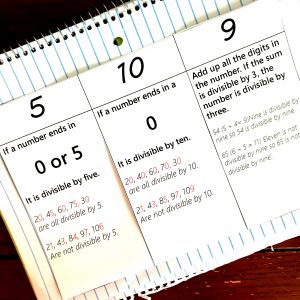 FREE Hands-On Divisibiltiy Rules Worksheet For 2, 3, 6, 5, 9, and 10