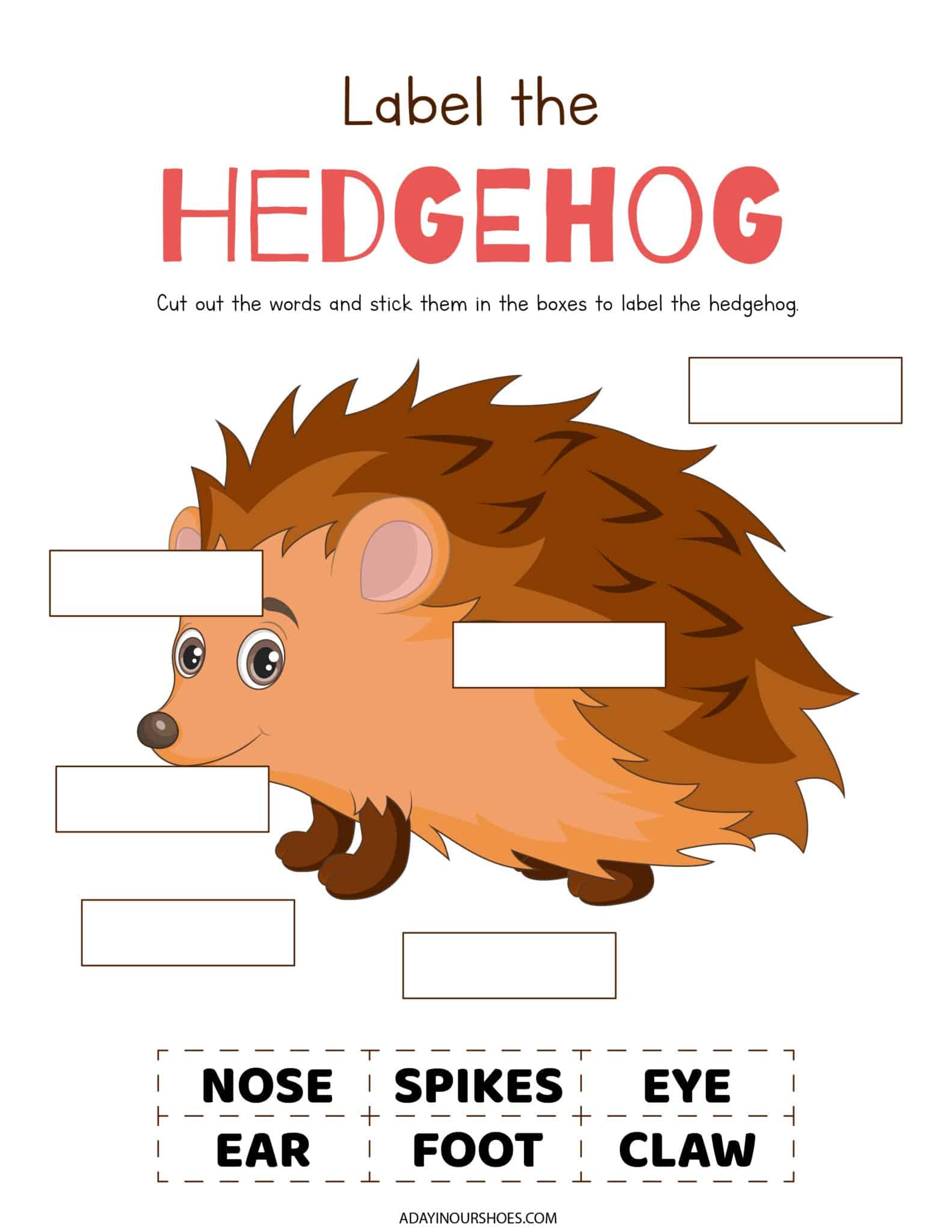 8 Free Hedgehog Worksheets | Printable