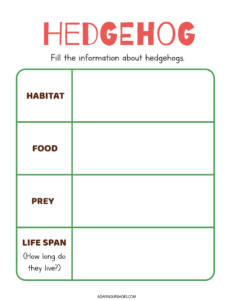 8 Free Hedgehog Worksheets | Printable