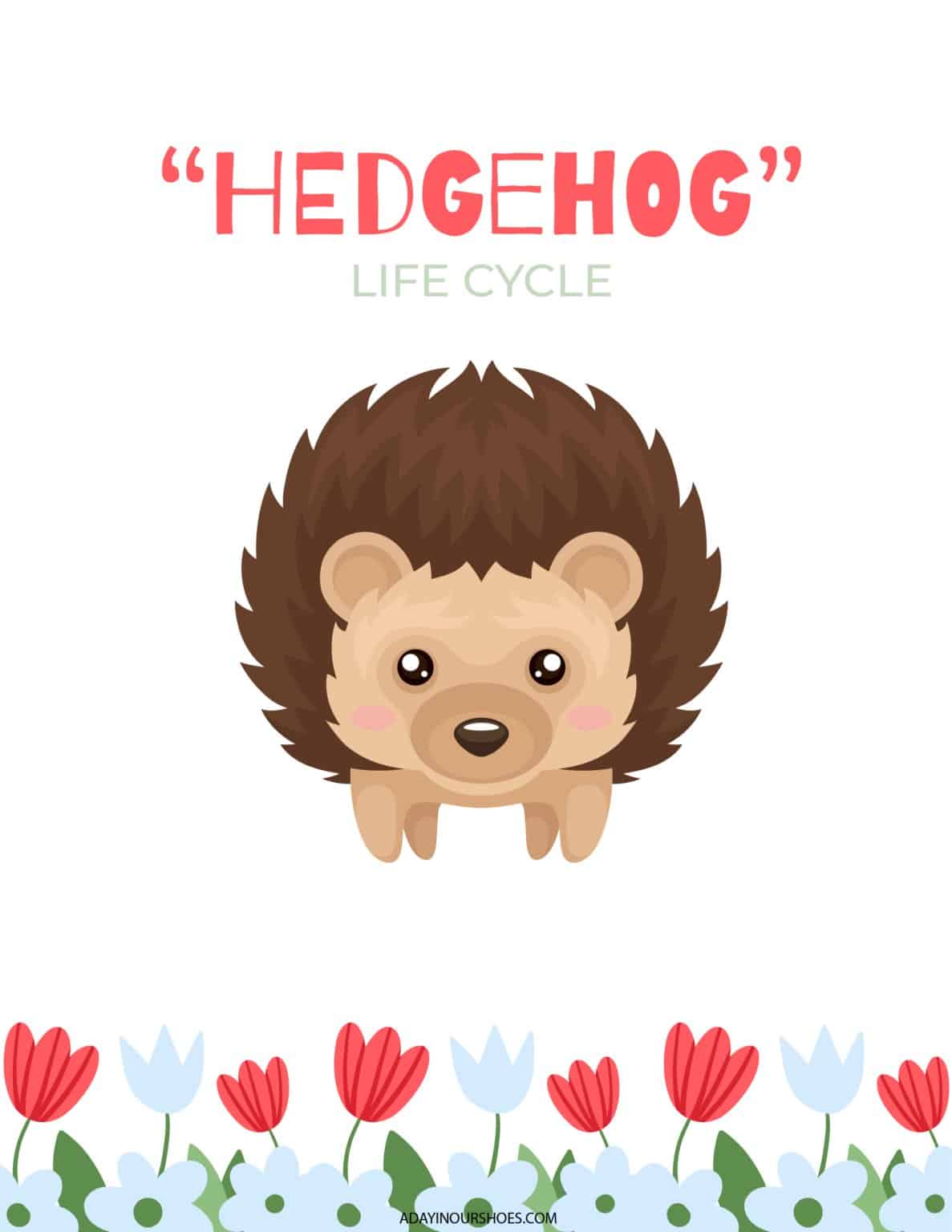 8 Free Hedgehog Worksheets | Printable