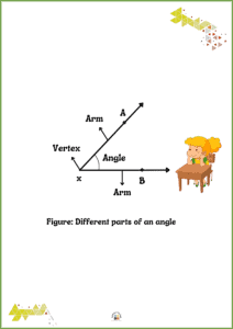 10 Real Life Examples of Acute Angles in the Home | Free Printable