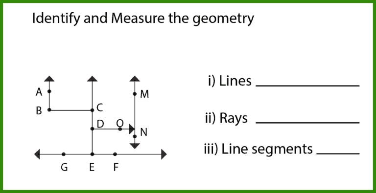Free Lines Rays and Line Segments Worksheet | 10+ Pages