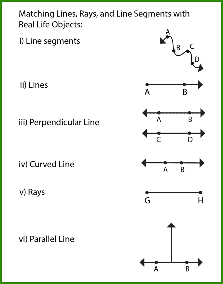 Free Lines Rays and Line Segments Worksheet | 10+ Pages